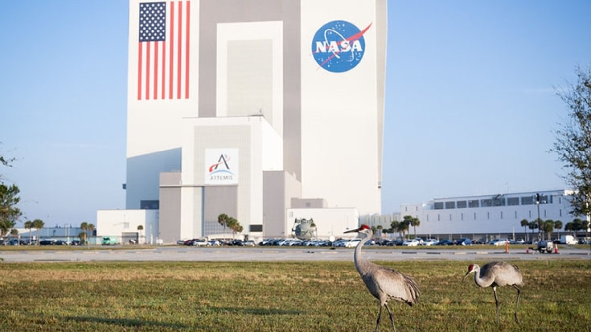 NASA cria serviço de streaming e promete mostrar tudo sobre o universo