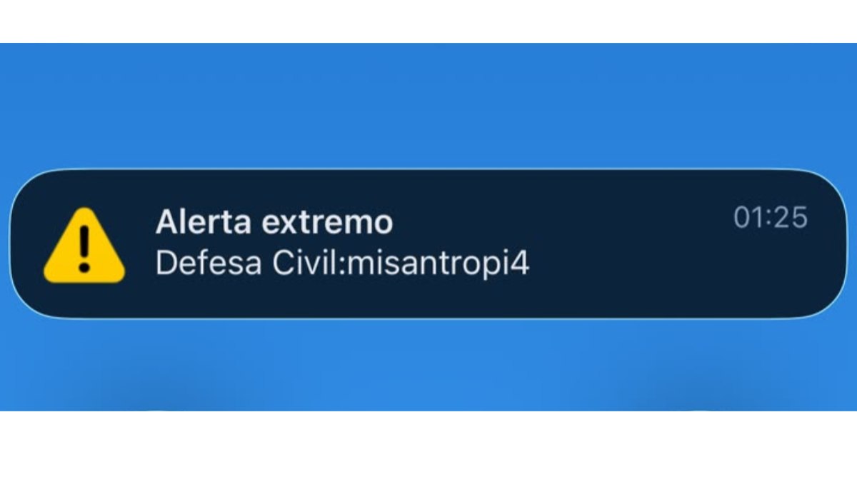 ETs no Paraná, português e Endrick no banco: alerta vira meme