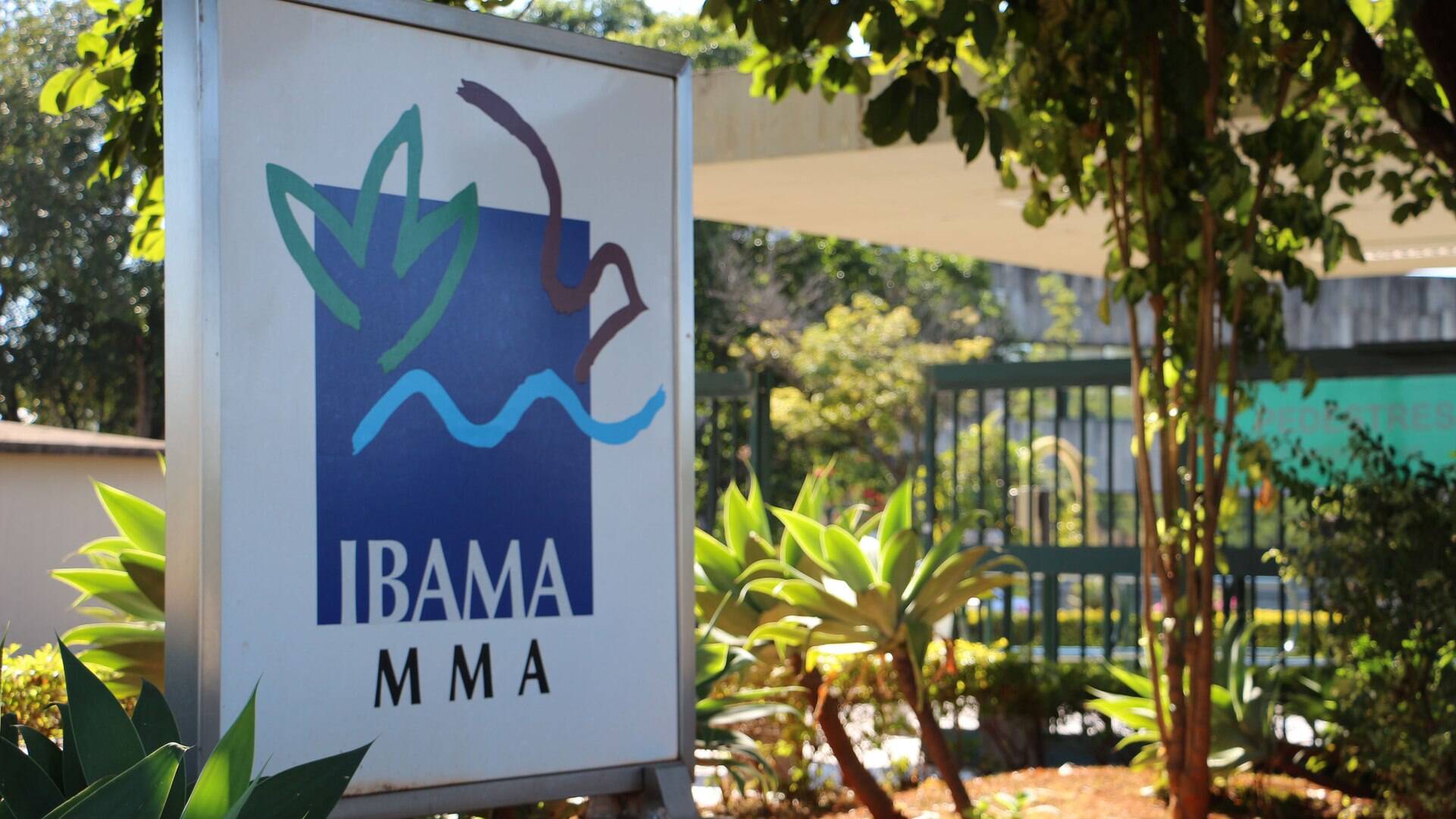 Ibama suspende combate a incêndios e ministério oferece R$ 30 milhões ...