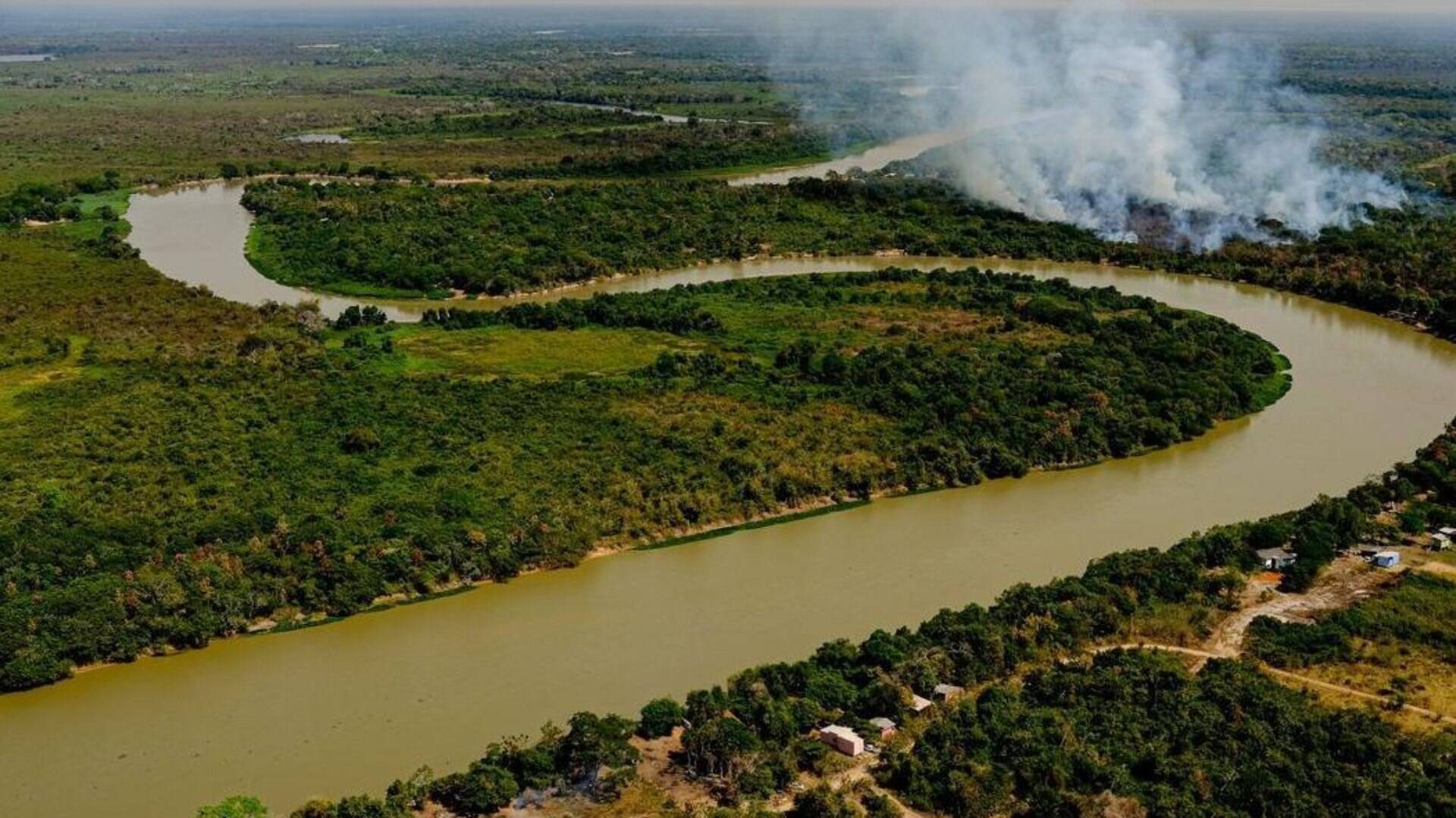 Incêndios No Pantanal Mato Grosso Do Sul Decreta Situação De