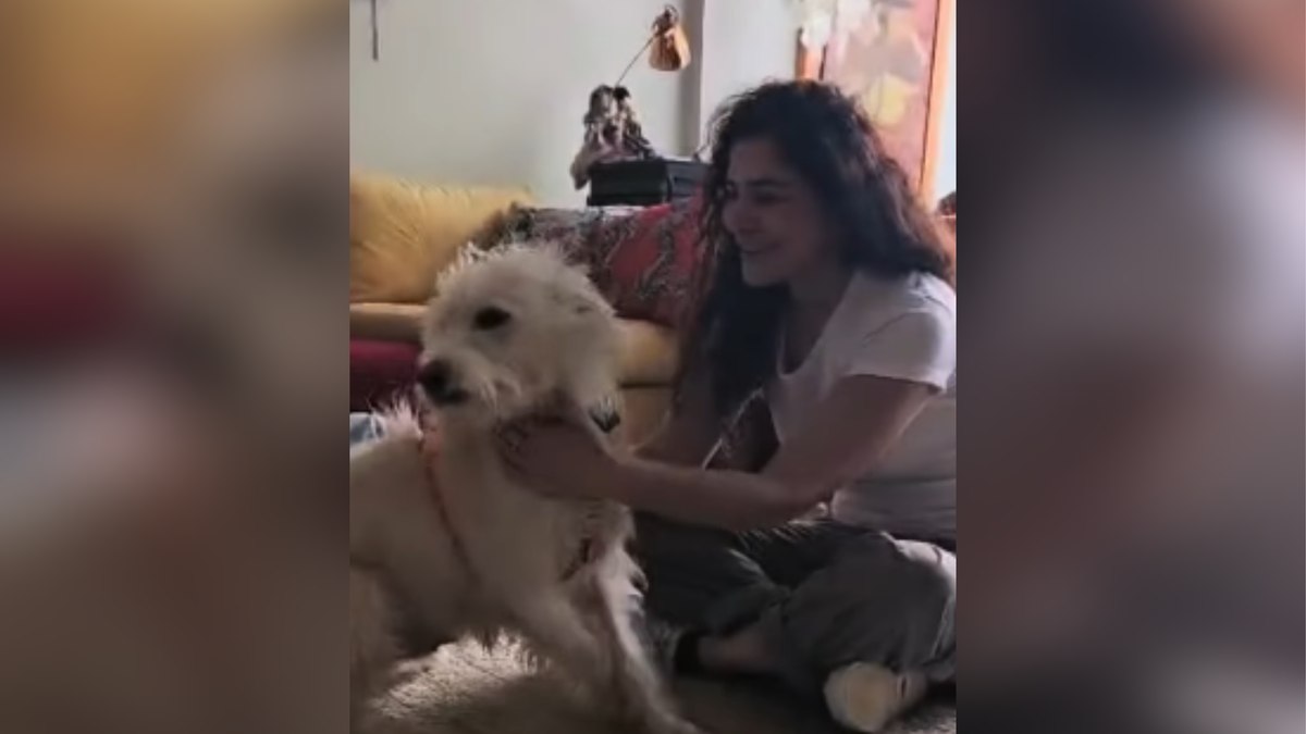 Letícia Sabatella comemora aniversário com retorno de seu pet