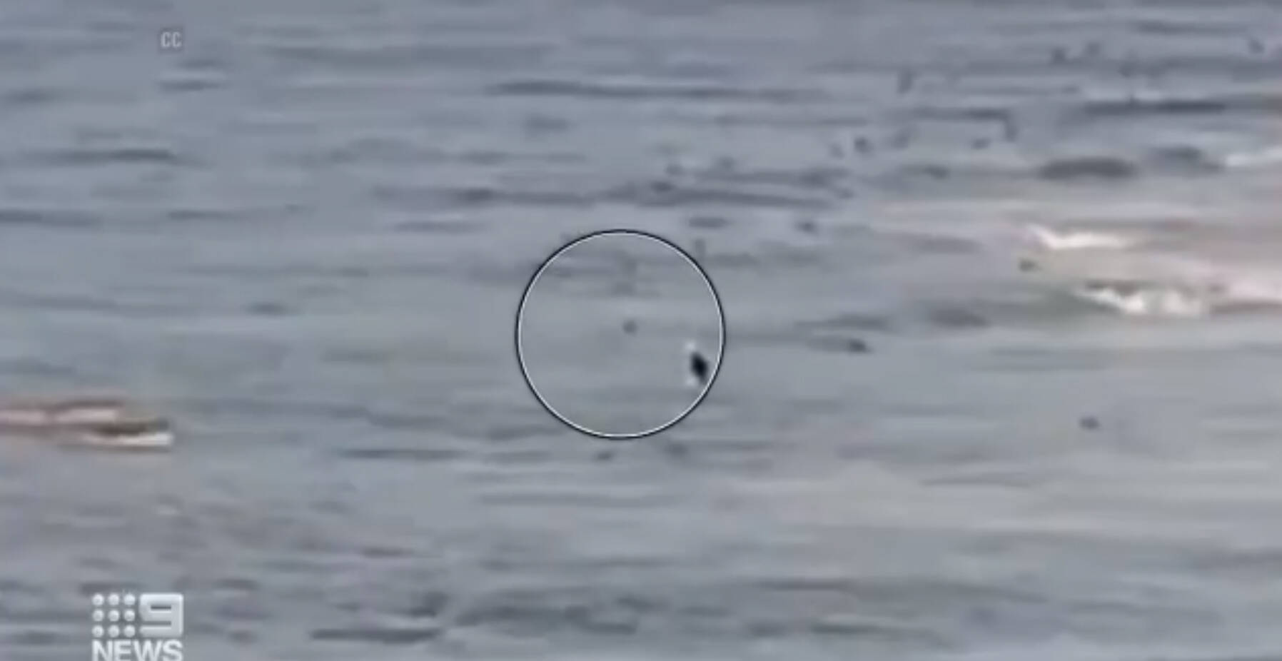 Surfista morre após ataque de tubarão em praia da Austrália; veja